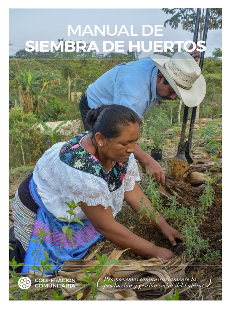 Manual de Siembra - 2022 | PDF | Siembra | Semilla