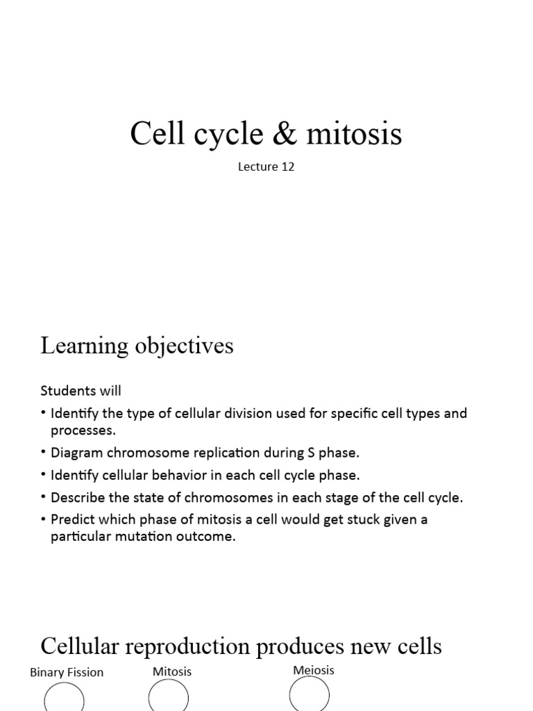 Biol113 Lec 12 cell cycle & mitosis S | PDF | Mitosis | Cell (Biology)