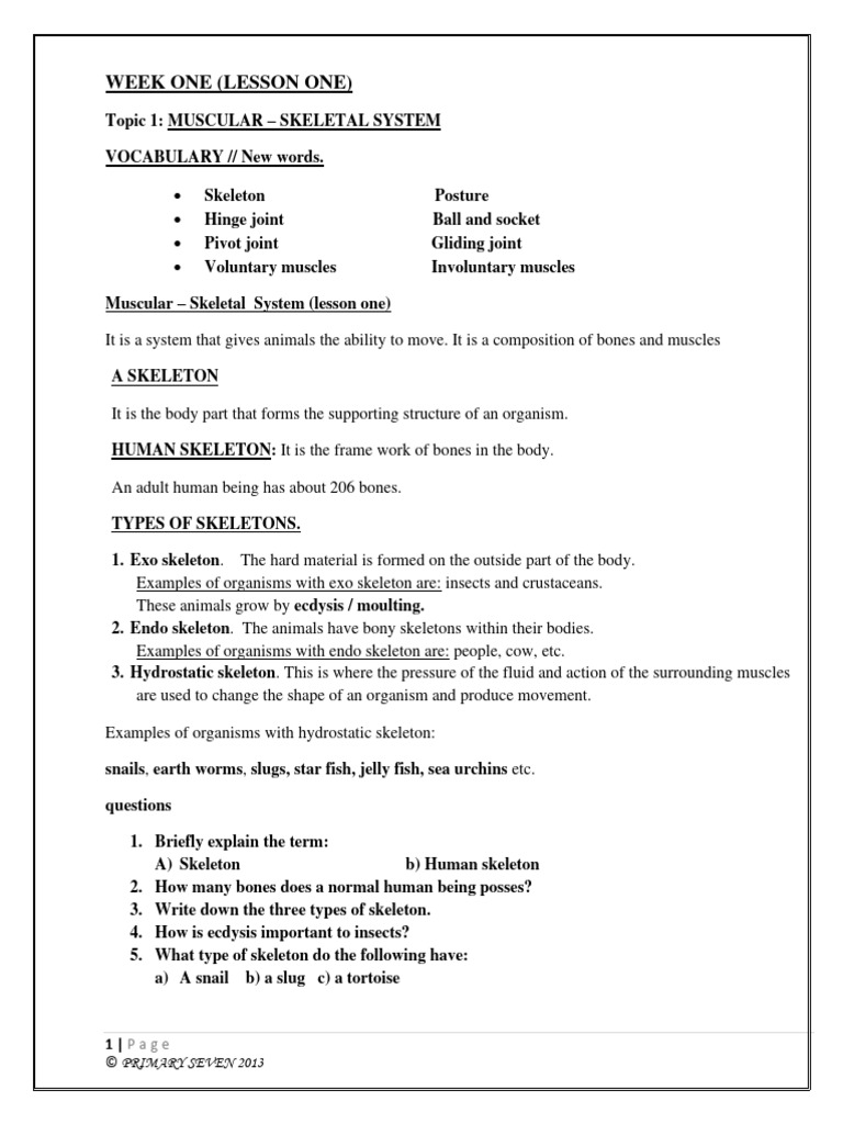 P_7 Science Lesson Notes | PDF | Incandescent Light Bulb | Lever