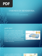 Funcion de Las Uniones GAP en La Union Interceluar | PDF | Biología ...