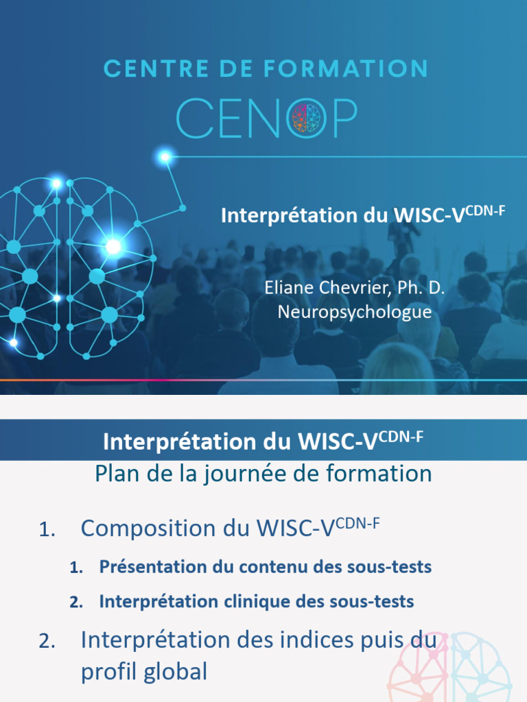 Interprétation du WISC-VCDN-F | PDF | Mémoire de travail | Attention