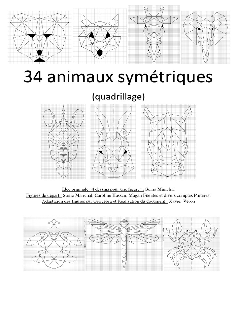 34 Animaux Symetrie Axiale Quadrillage | PDF