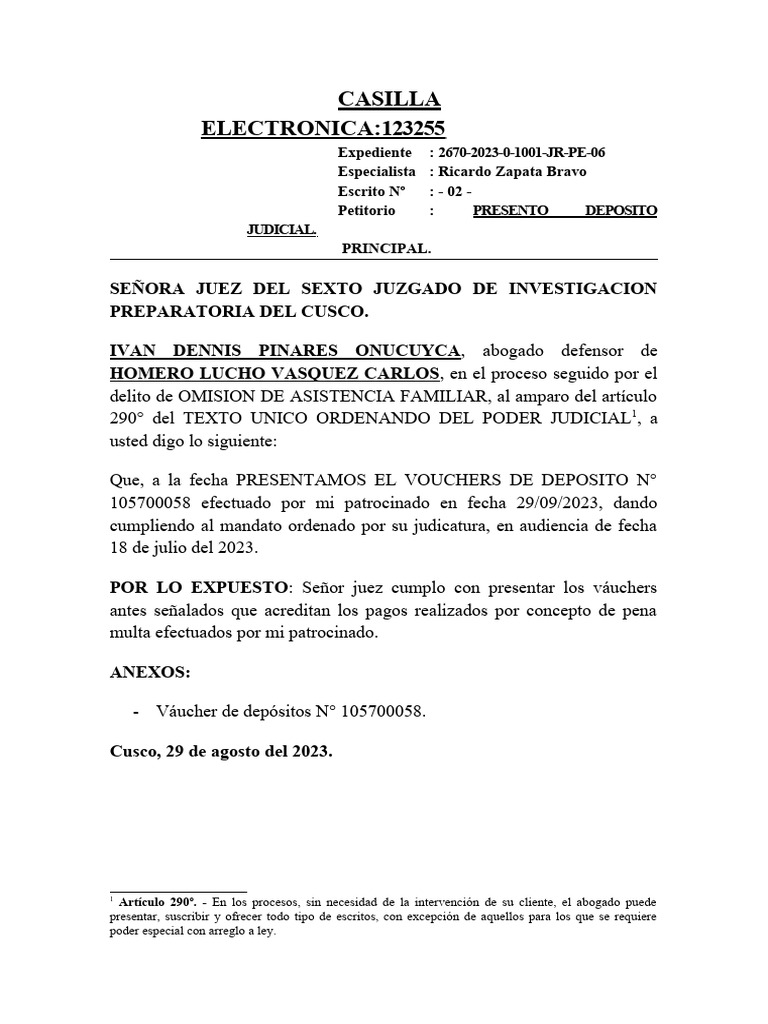 Presento Deposito Judicial. - HOMERO LUCHO VASQUEZ CARLOS | PDF | Derecho