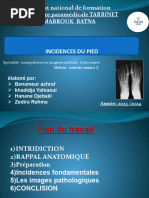 Radioanatomie Cheville-Pied | PDF | Pied | Système squelettique