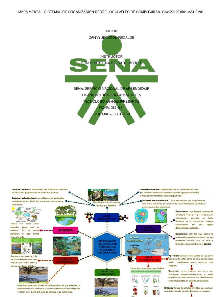 Mapa Mental Sistemas de Organización Desde Los Niveles de Complejidad ...