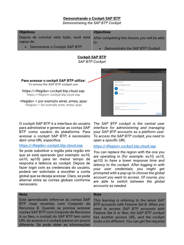 Demonstrando o Cockpit SAP BTP | PDF | Programação de computadores ...