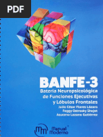 Cuadernillo BANFE 2 | PDF