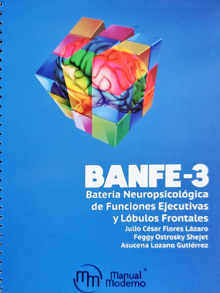 Banfe-3. Manual de Aplicación | PDF