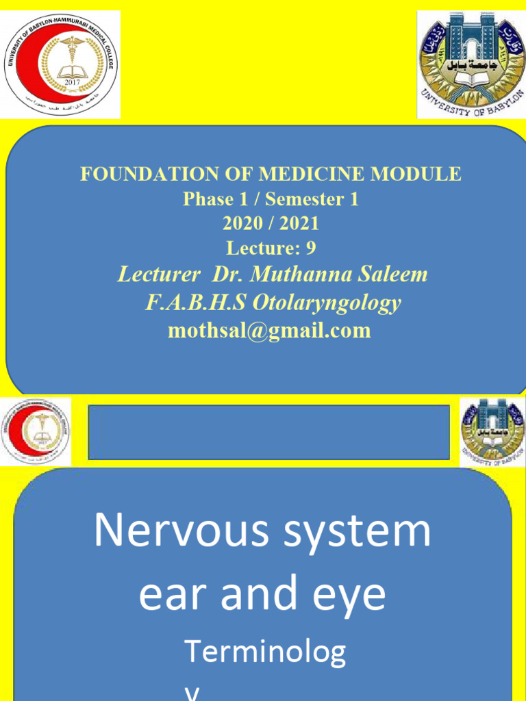 Nervous System Ear and Eye-1 | PDF | Central Nervous System | Nervous ...