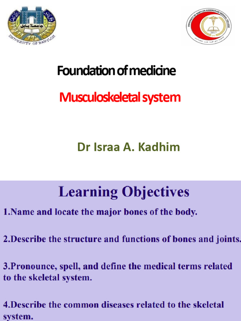 Musculoskeletal System 2023 | PDF | Human Musculoskeletal System ...