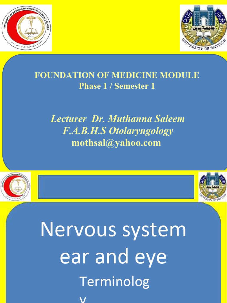 Nervous System Ear and Eye Terminology | PDF