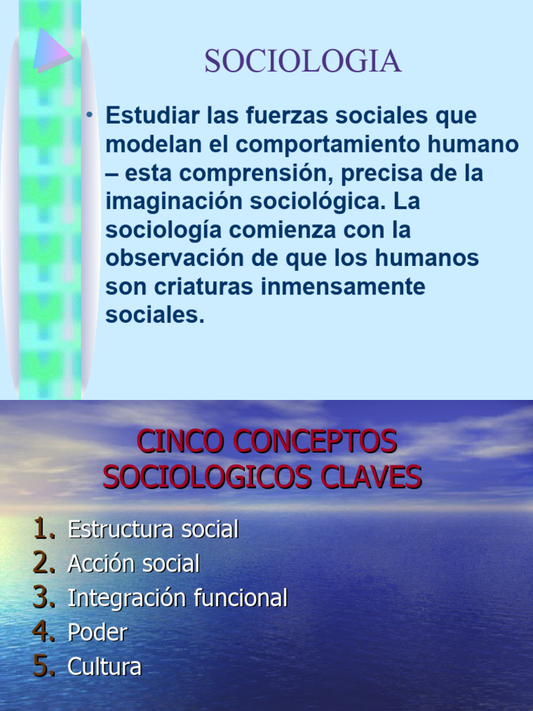 Sociologia | PDF | Sociología | Sociedad