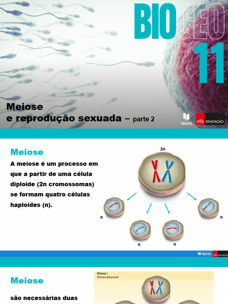 Meiose e Reprodução Sexuada II | PDF | Meiose | Mitose