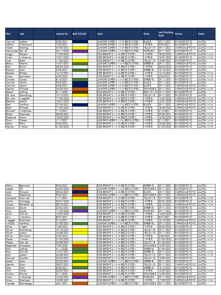 MMA Belt System Grading List | PDF | Sports & Recreation