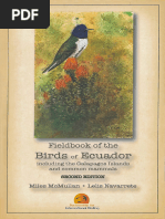 Bto Bird Species Codes | PDF