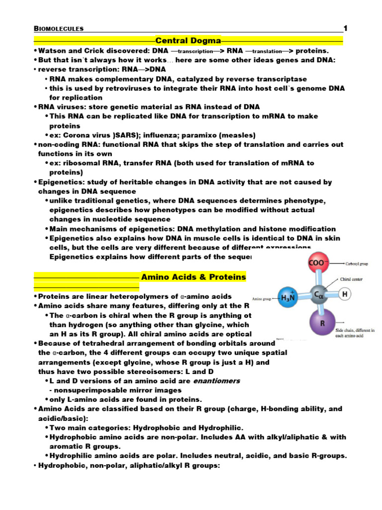 Biomolecules Original | PDF | Rna | Messenger Rna