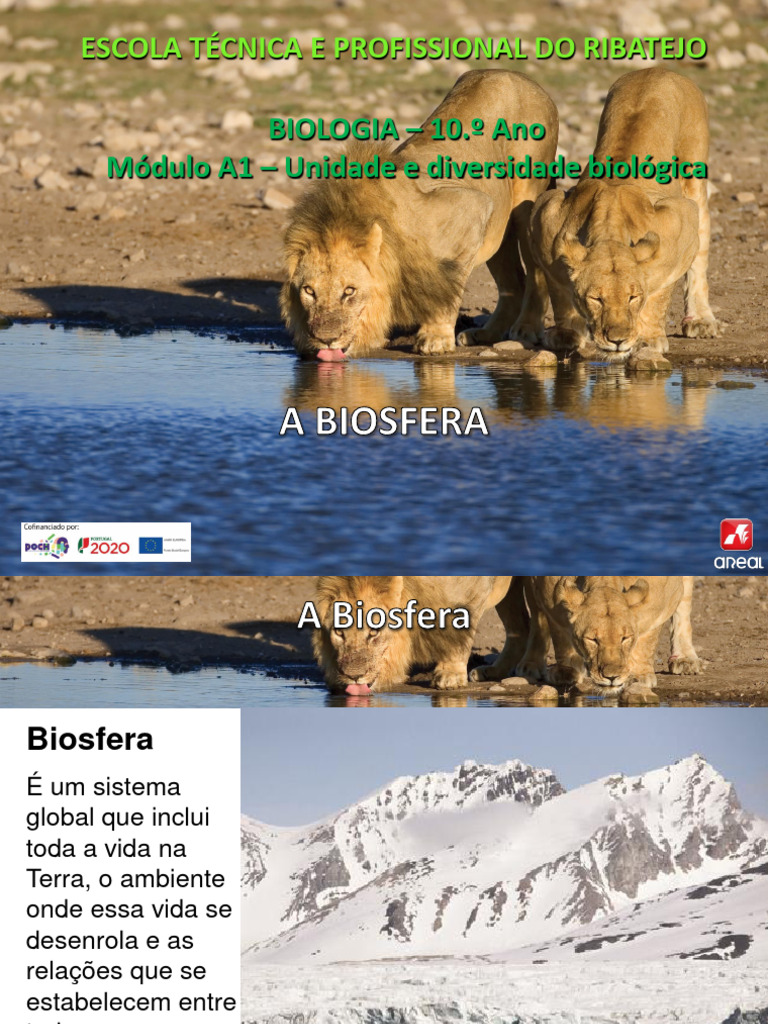 Biosfera | PDF | Ecossistema | Organismos