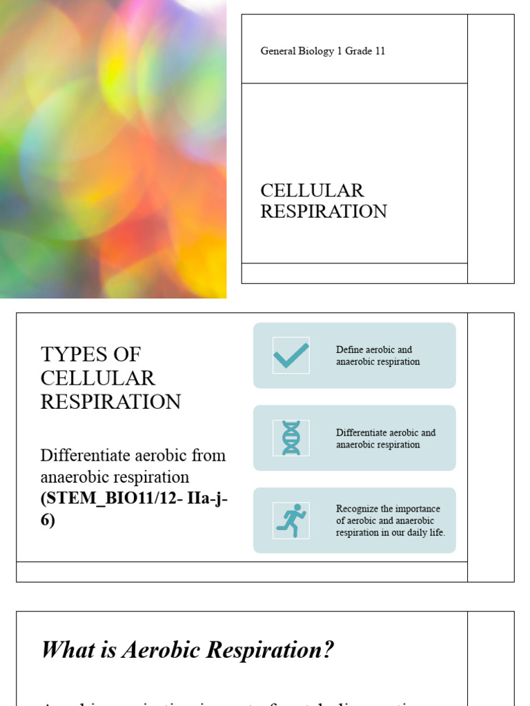 Aerobic vs. Anaerobic Respiration Guide | PDF | Cellular Respiration ...