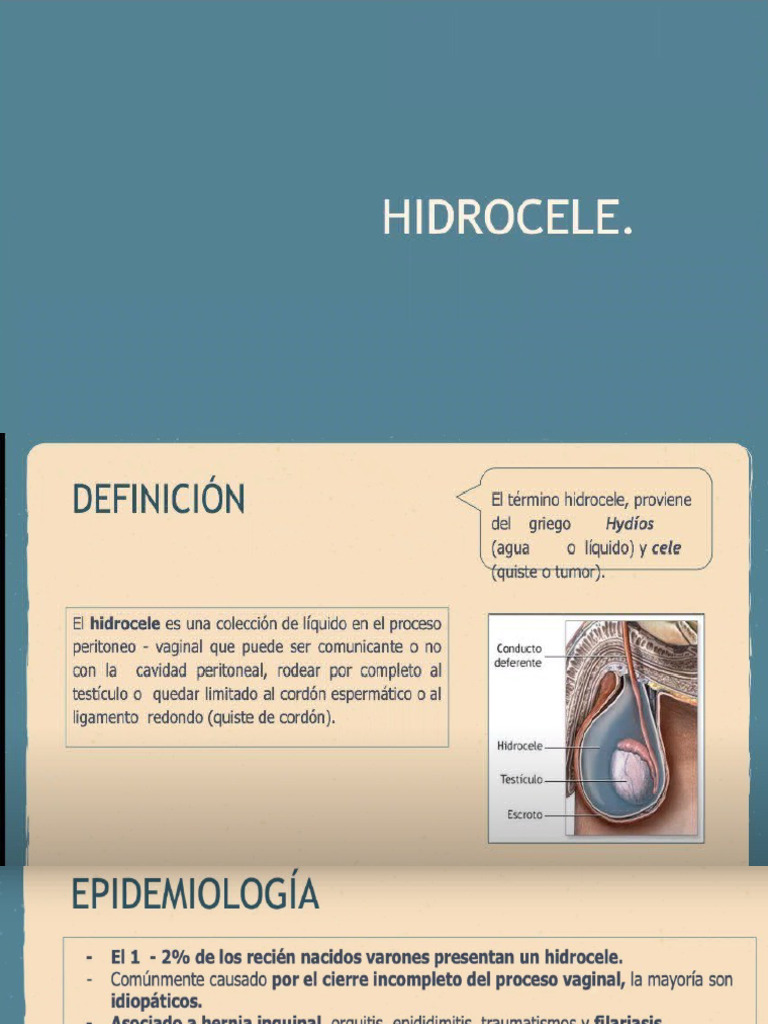 Escroto Agudo | PDF