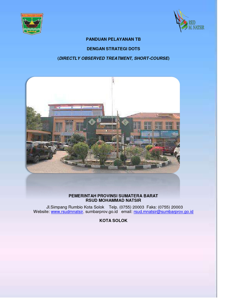 Panduan Penanggulangan TB Compressed | PDF