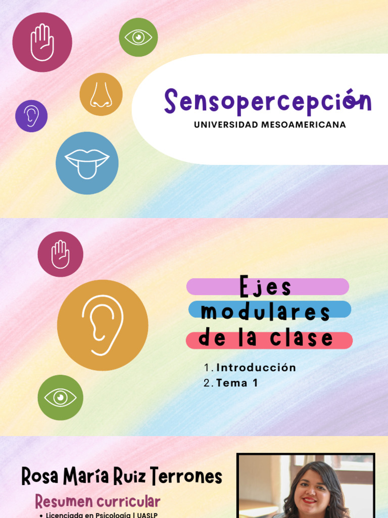 Sensopercepción | Descargar gratis PDF | Gusto | Percepción