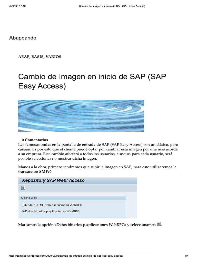 Cambio de Imagen en Inicio de SAP | PDF