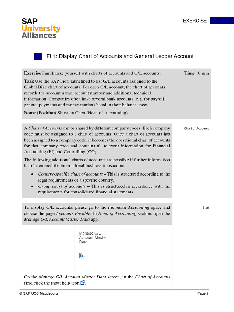 Display Chart of Accounts & G/L Accounts | PDF | Balance Sheet | Debits And Credits