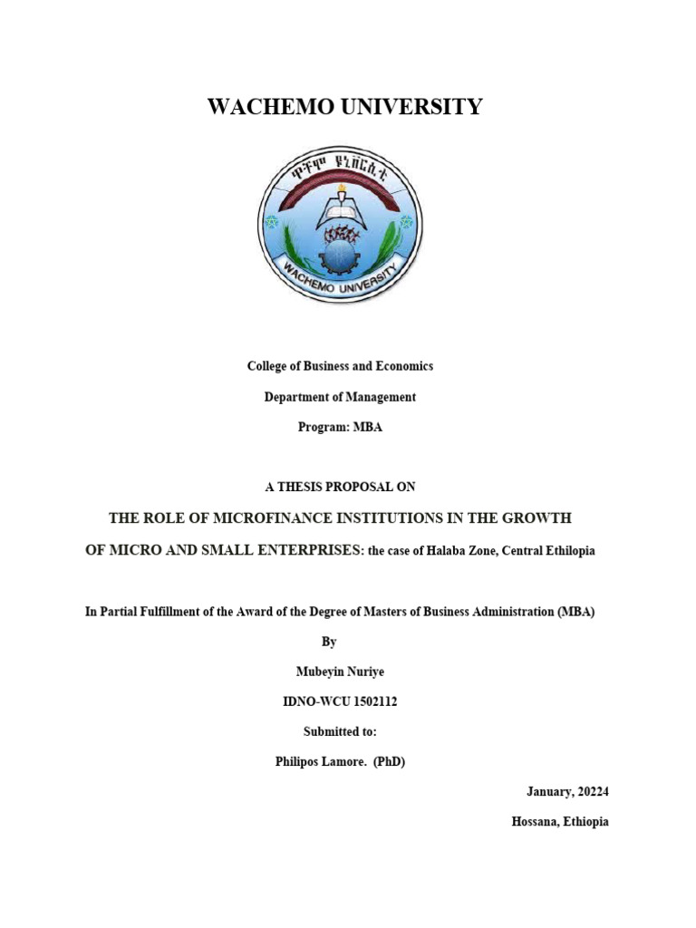 Proposal for BRM | PDF | Small And Medium Sized Enterprises | Marketing