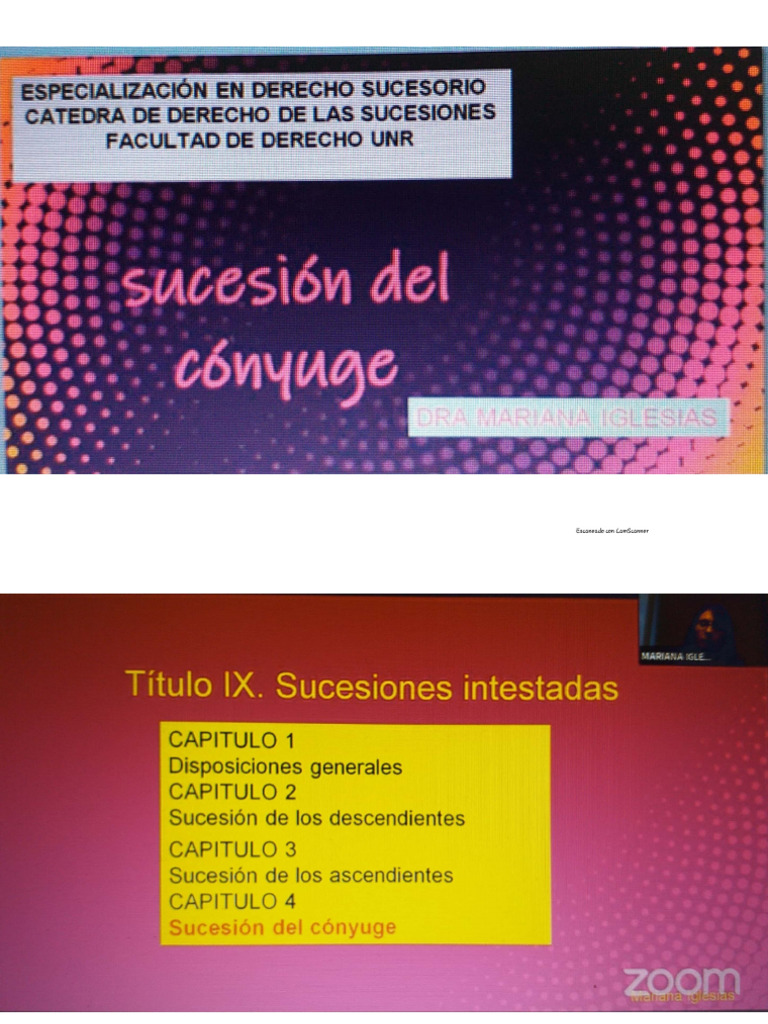 4 Clase 4 Dd Sucesorio Pdf