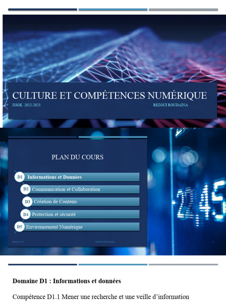 Culture et Compétences Numériques | PDF | Internet | Internet et Web