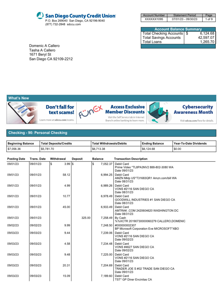 SDCCU Account Balance Overview | PDF | Credit Card | Savings Account