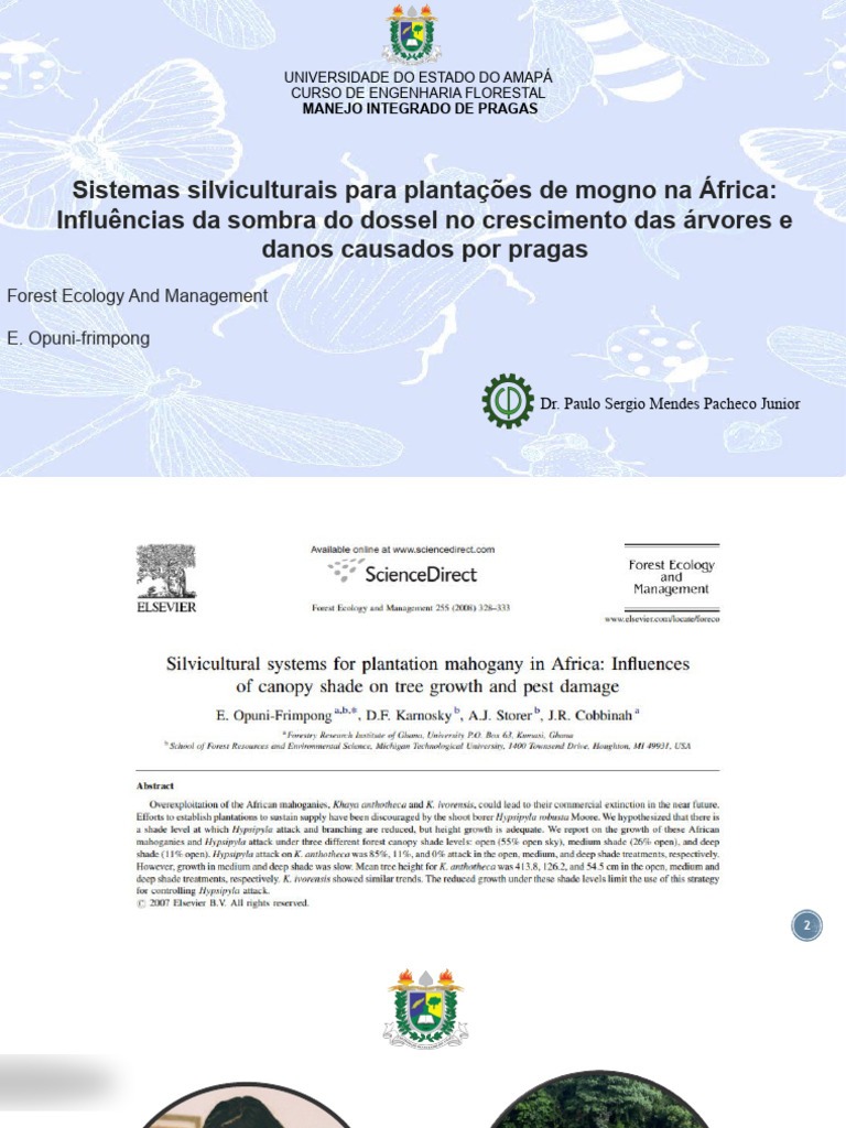 Trabalho Mip | PDF | Florestas | Árvores