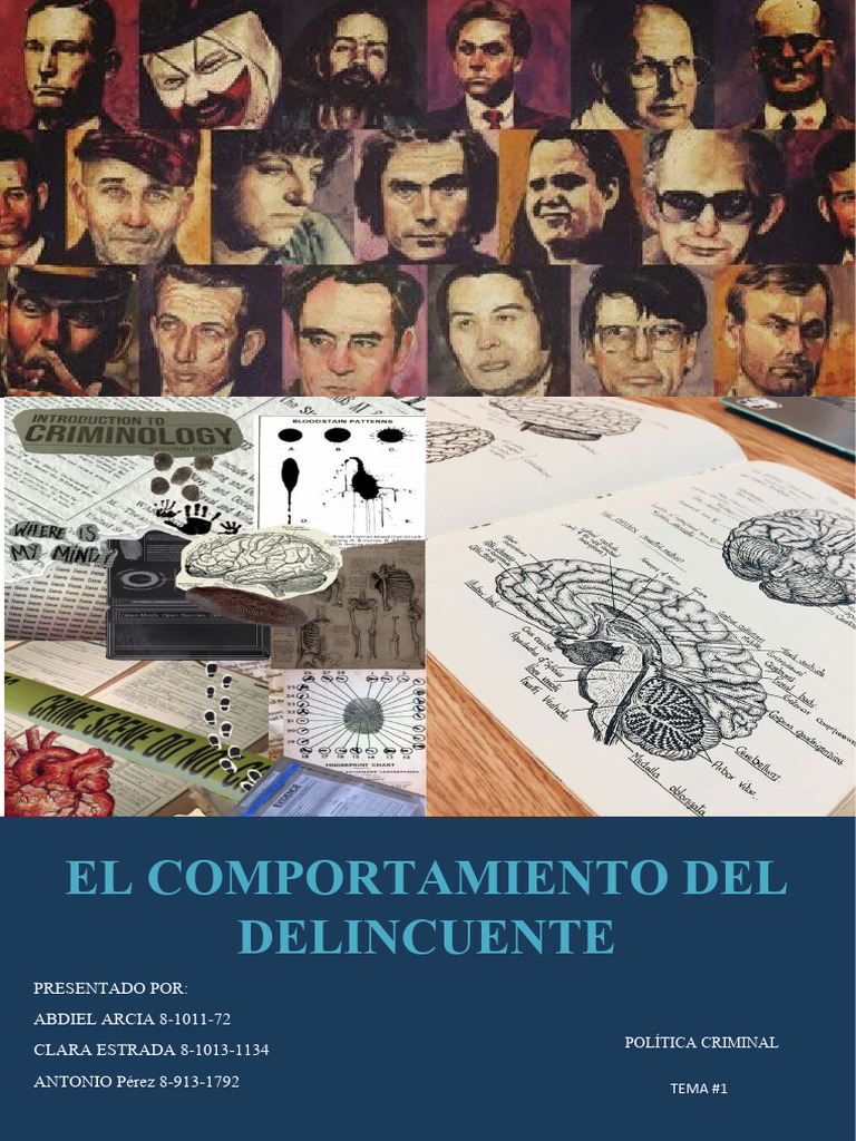 Perfil Del Delincuente | PDF