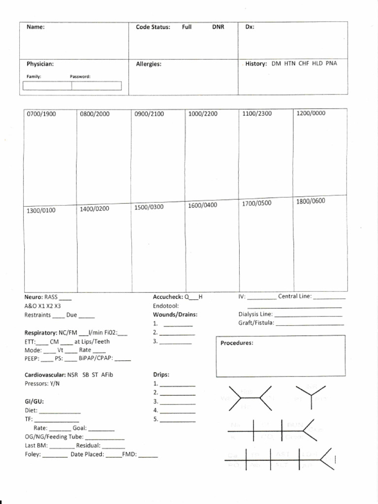 Brain Sheet | PDF
