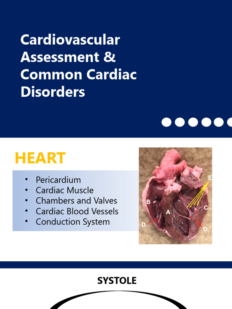 Cardiovascular Assessment & Cardiac Disorders | Download Free PDF ...