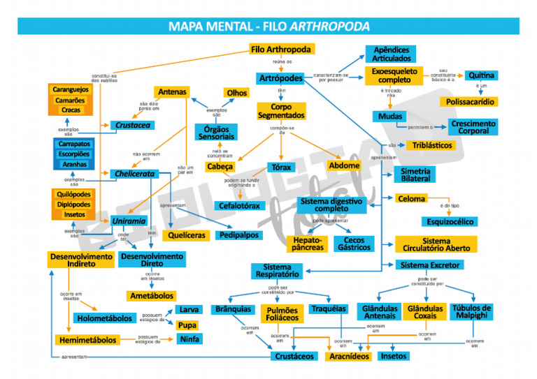 Mapa Artropodas - Compressed | PDF