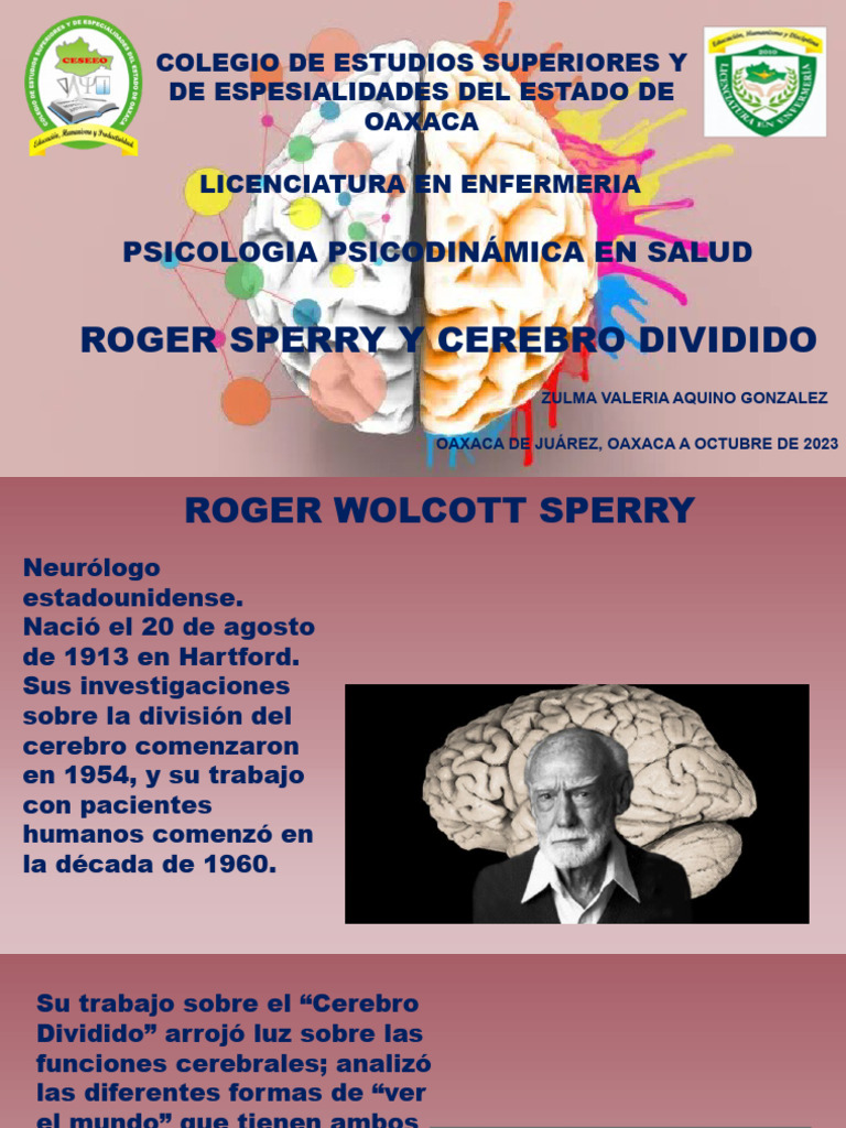 Roger Sperry y el Cerebro Dividido | PDF | Hemisferio cerebral | Cerebro