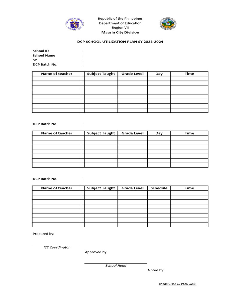 DCP Utilization Plan Template (1) | PDF