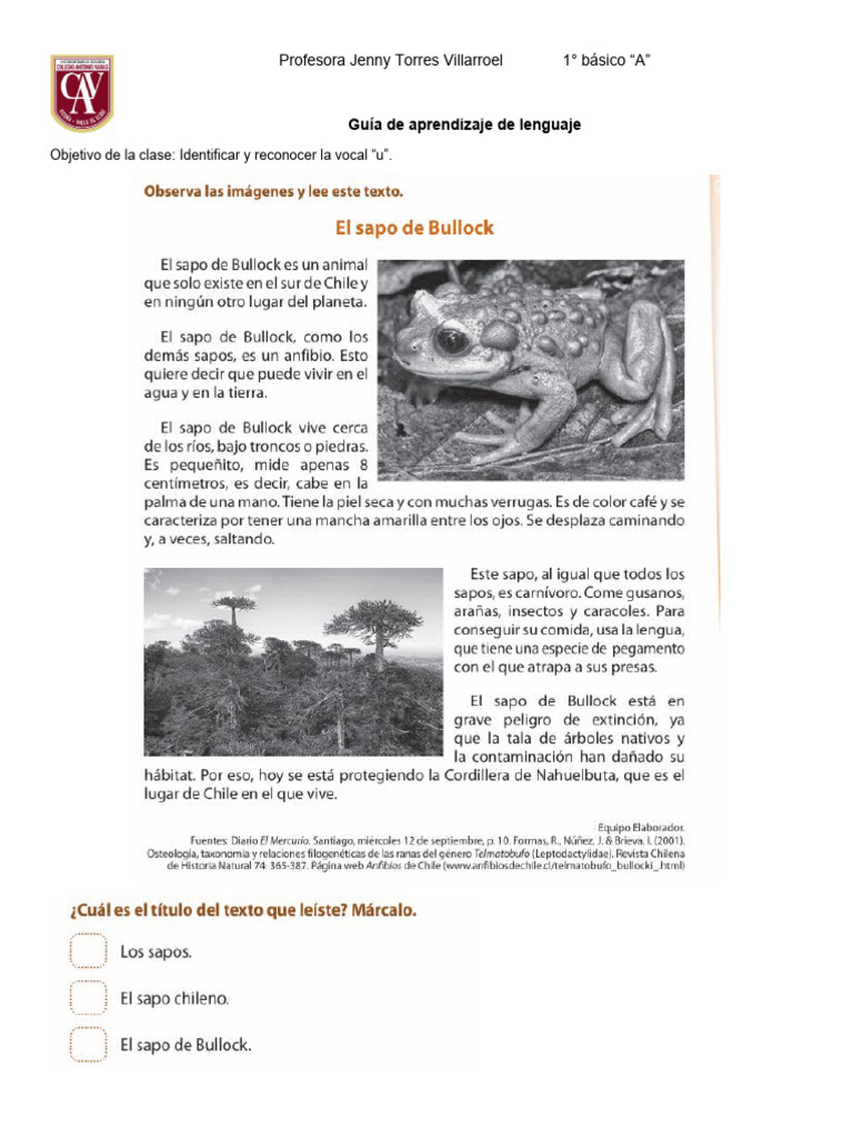 Guía Para Reconocer La Vocal U Pdf