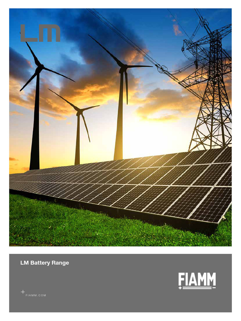 LM Folder Na Eng | PDF | Battery (Electricity) | Energy Storage