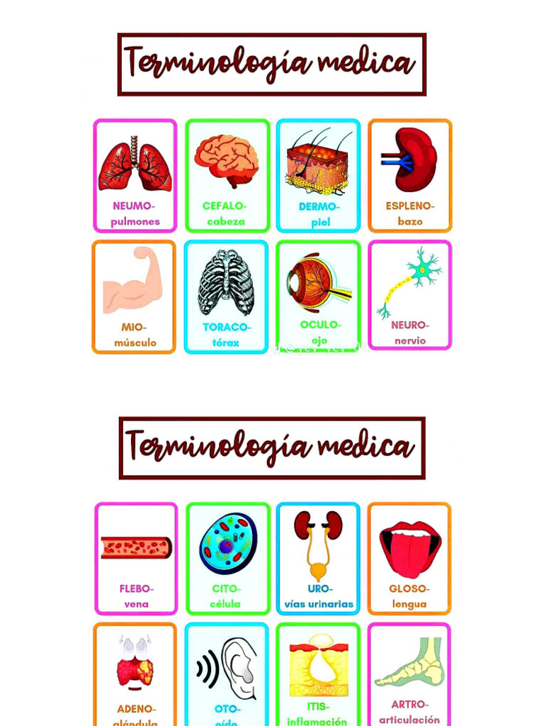 Terminología Médica | PDF