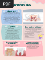 Código FDI: Guía para Odontólogos | PDF | Diente | Ramas de Odontología