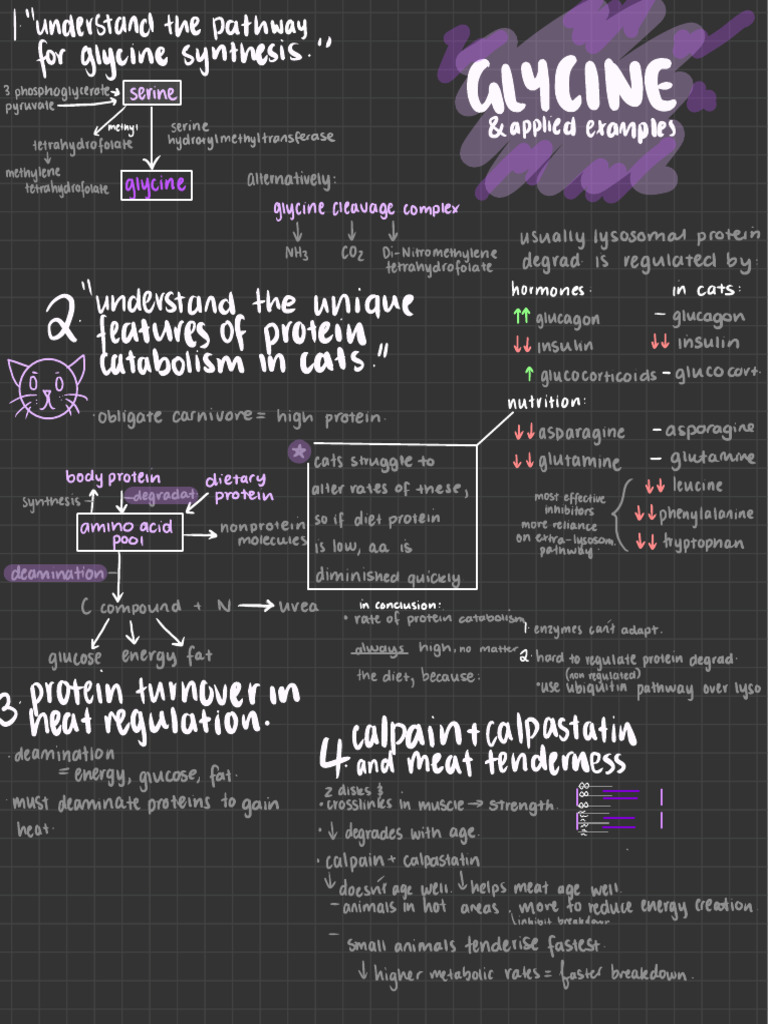 18 Glycine and Applied Examples | PDF | Metabolic Pathway | Proteins