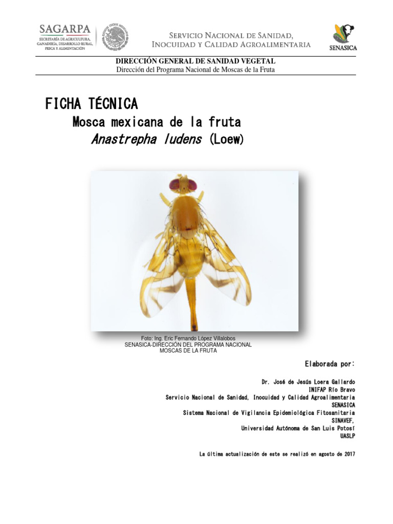 Anastrepha Ludens Loew | PDF | México | Zona tropical
