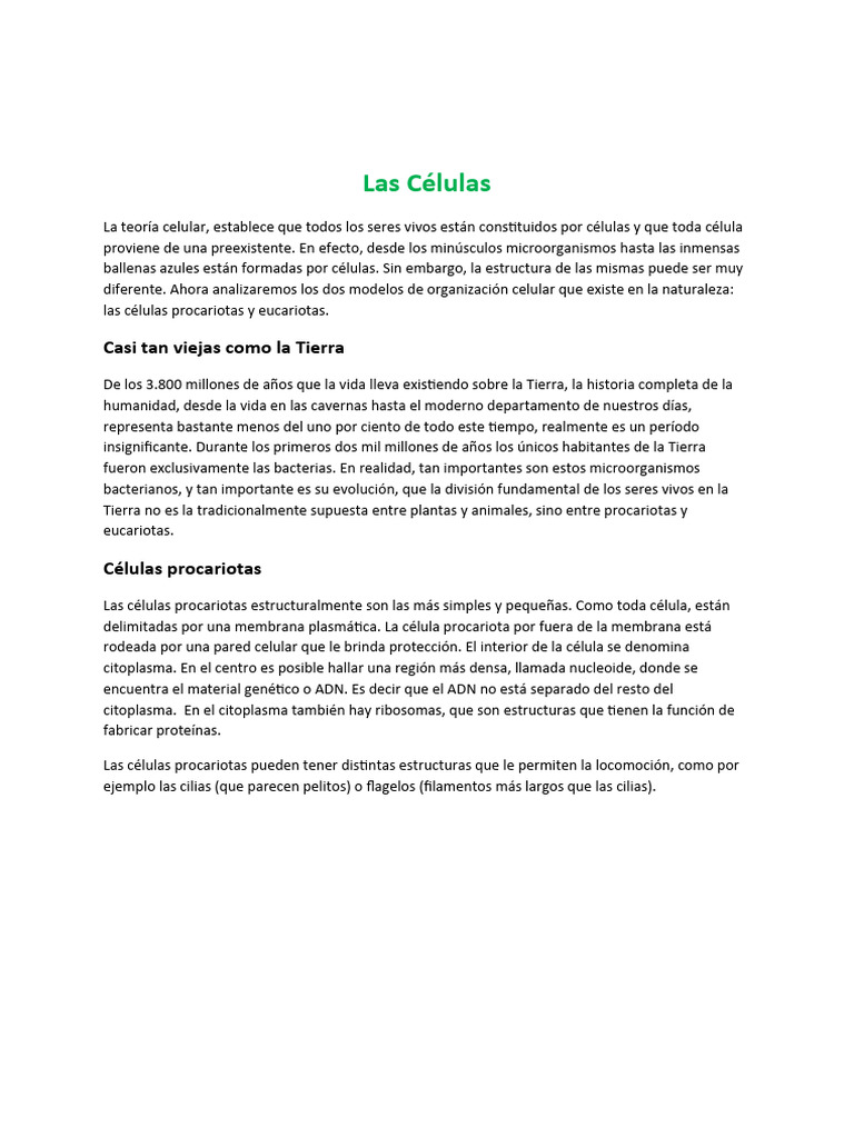 Las Celulas - Docx Repaso 1er Ao | PDF | Biología Celular) | Citoplasma