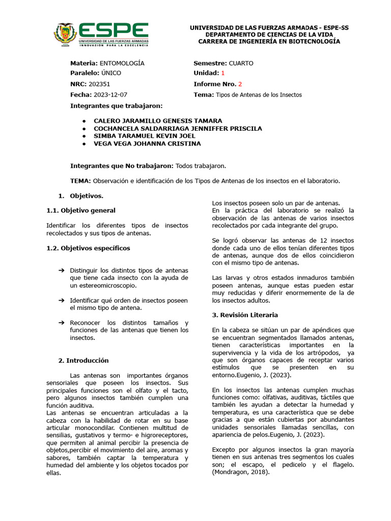 Tipos de Antenas de Los Insectos - Lab 2 | PDF