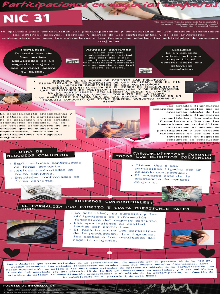 Nic 31 Participaciones en Negocios Conjuntos | PDF