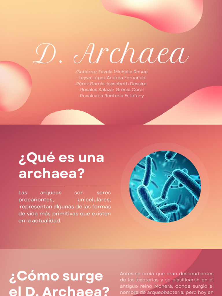 D. Archaea | PDF | Archaea | Organismos
