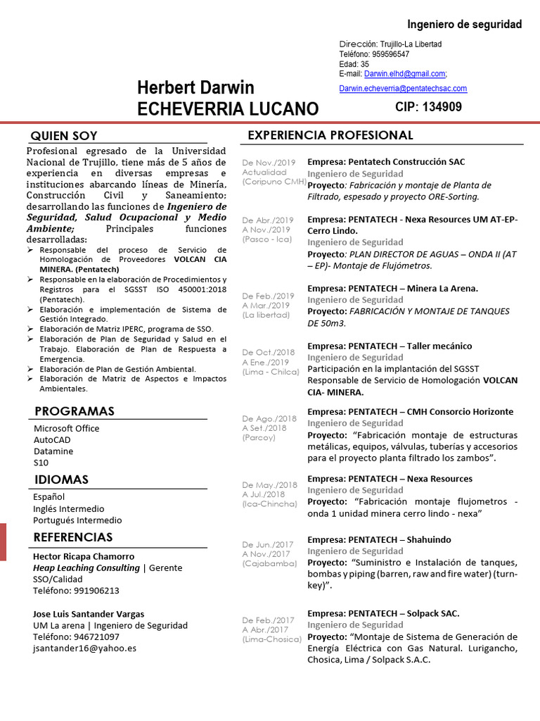 CV Darwin Echevarria Lucano | PDF