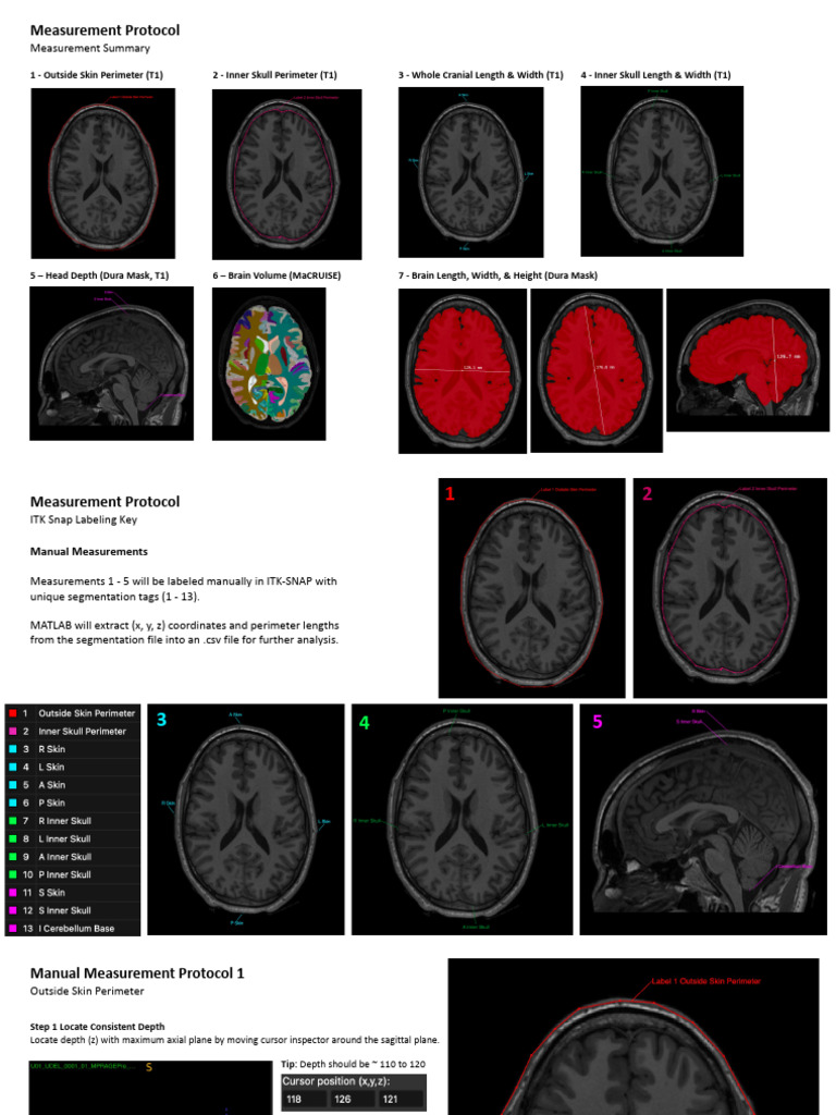 Bmen499 Research Protocol | PDF